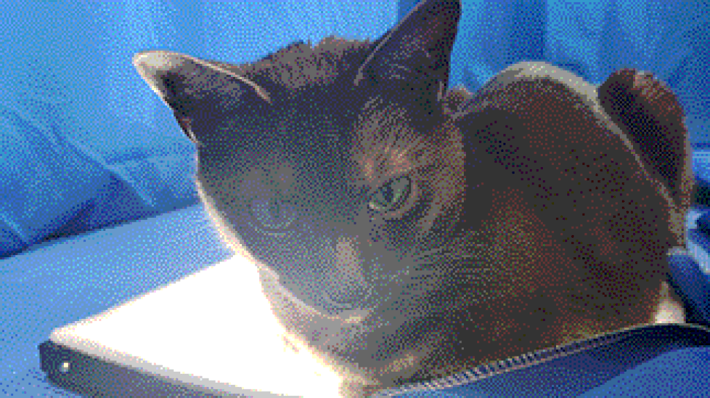 blue screen room – brutalmoose.com