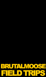 fieldtrips – brutalmoose.com